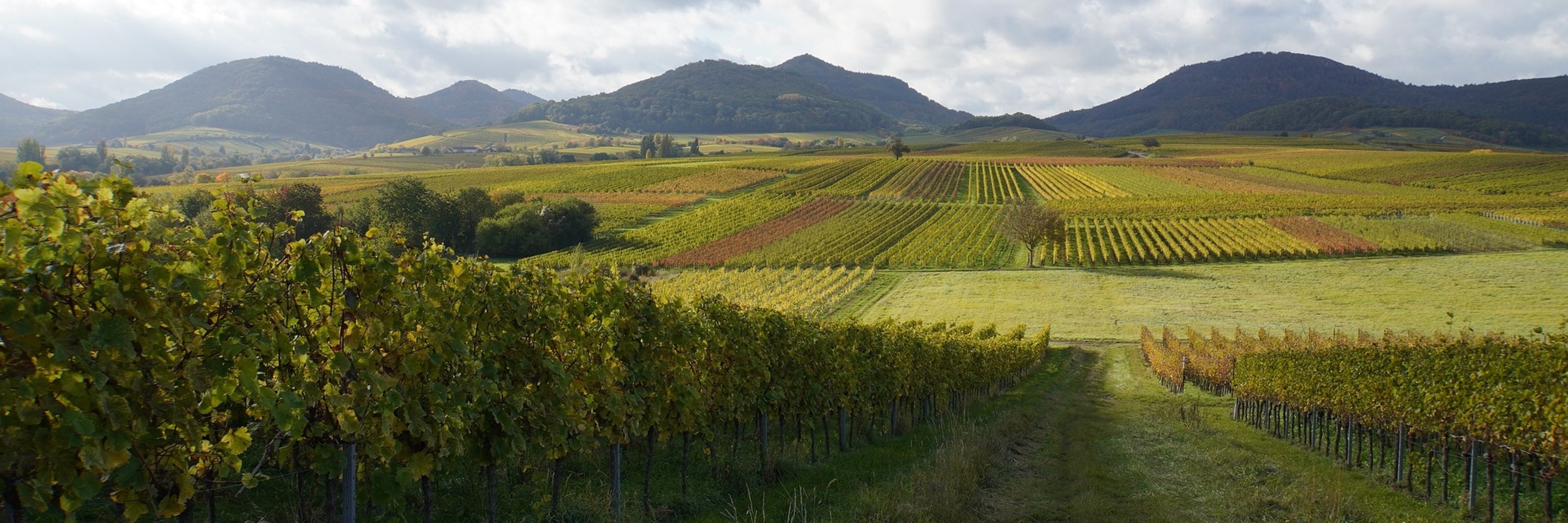 Tourismus | Verbandsgemeinde Lingenfeld